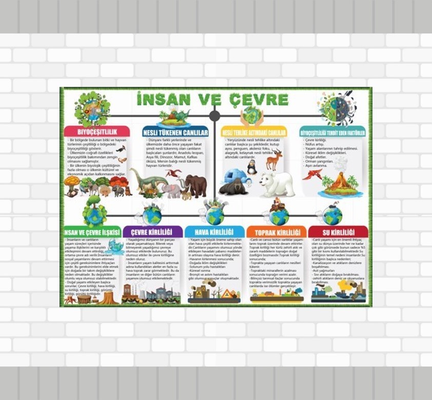 fen bilimleri cevre ve insan poster | Okul Poster Afiş